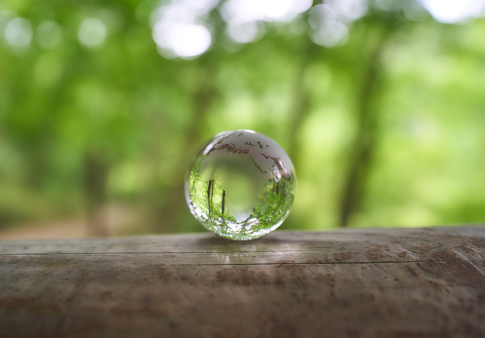 SBTiが声明を発表！カーボンクレジットがSCOPE3に使えるようになる？ | 株式会社エコ・プラン